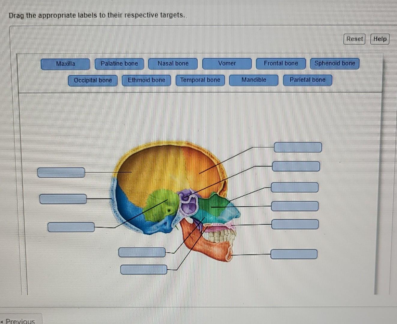 [Solved]: Drag the appropriate labels to their res