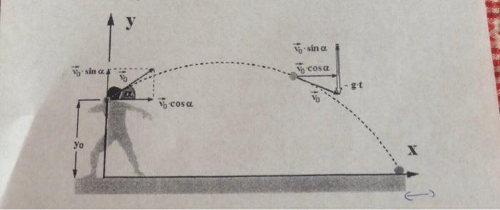 Solved Note: Acceleration due to gravity g = 9.81 m/s², yo= | Chegg.com