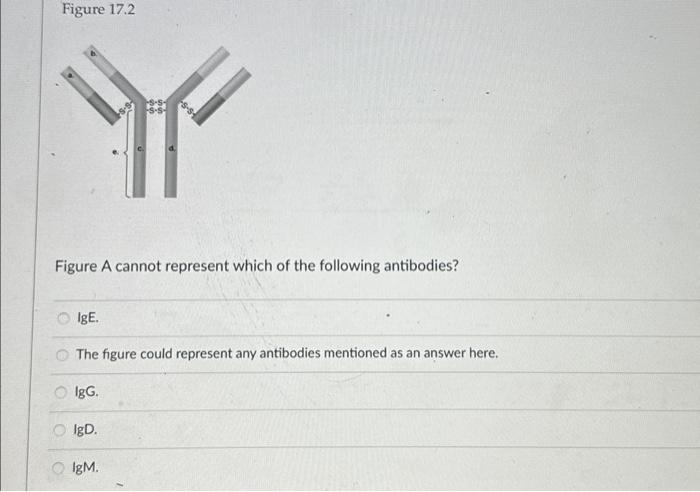 Solved Figure 17.2 Figure A cannot represent which of the | Chegg.com