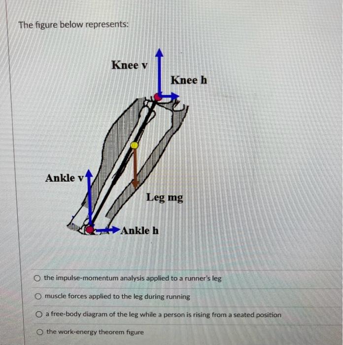 Solved The figure below represents: the impulse-momentum | Chegg.com