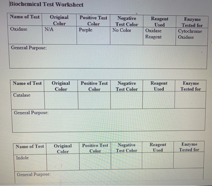 Solved Biochemical Test Worksheet Name of Test Original | Chegg.com
