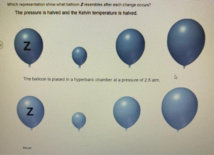 Solved Which representation show what balloon Z resembles | Chegg.com