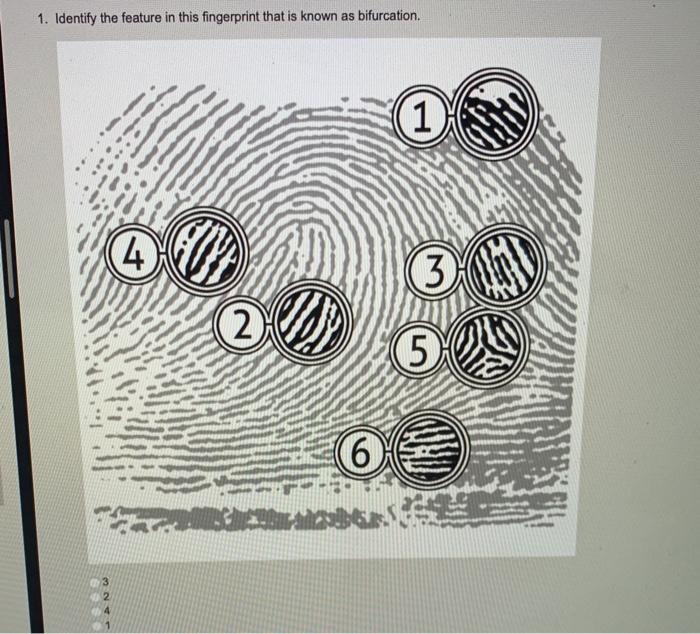 Solved 1. Identify the feature in this fingerprint that is | Chegg.com