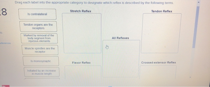 Solved 8 Drag each label into the appropriate category to | Chegg.com