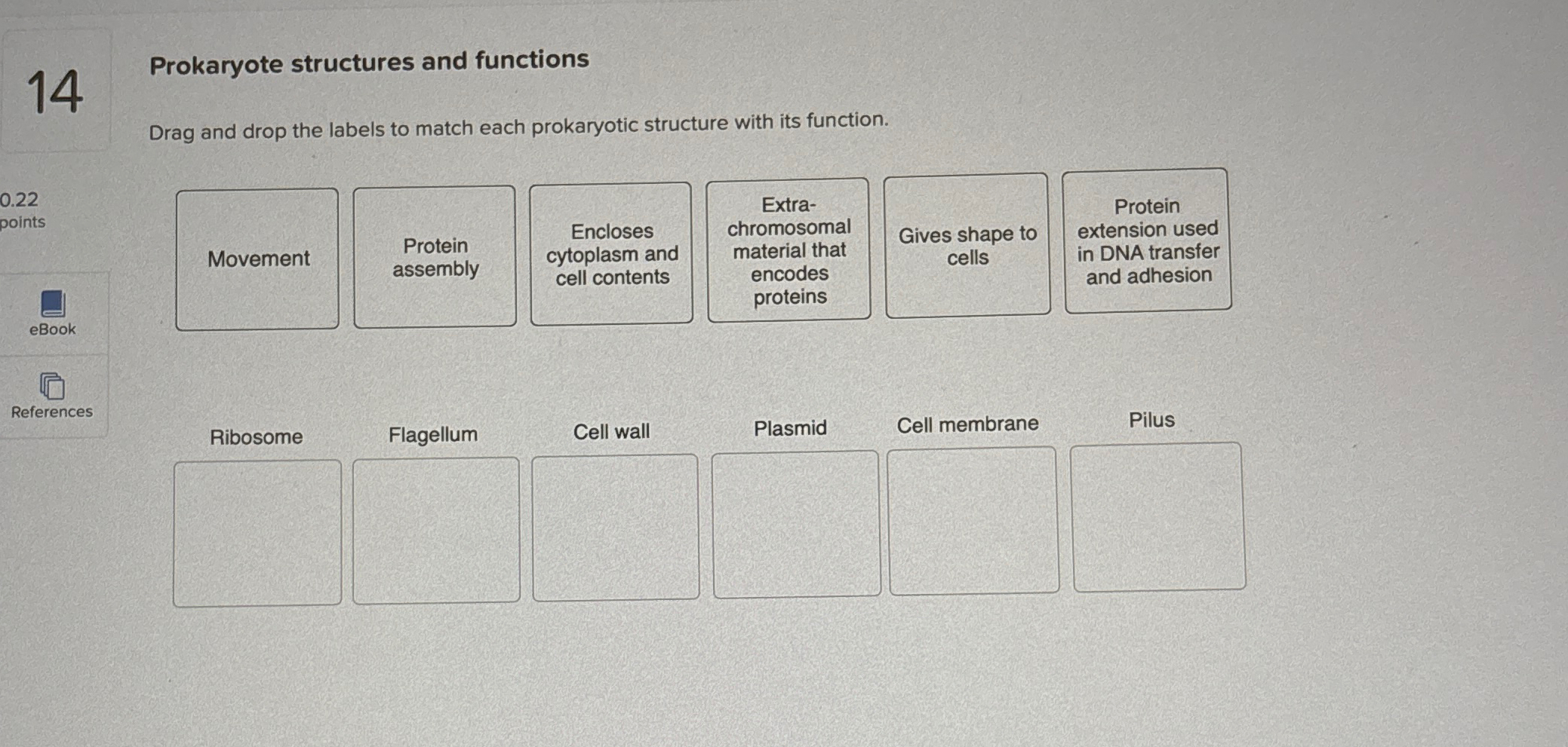 Solved 14Prokaryote structures and functionsDrag and drop | Chegg.com