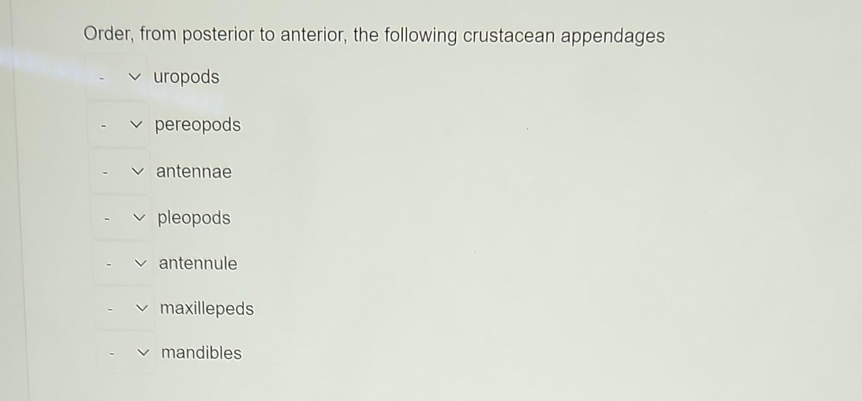 Solved Order, from posterior to anterior, the following | Chegg.com