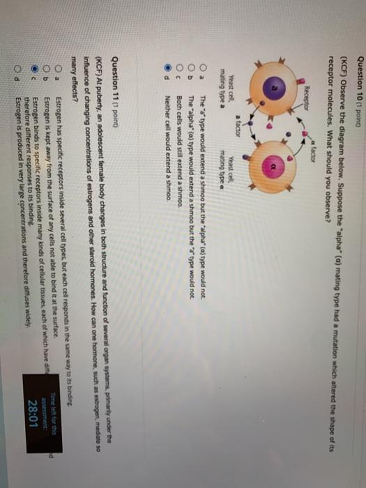 Solved Question 10 (1 point (KCF) Observe the diagram below. | Chegg.com