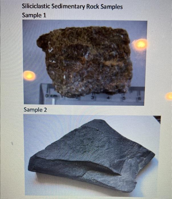 Solved SILICICLASTIC ROCK DATA SHEET Analysis of | Chegg.com