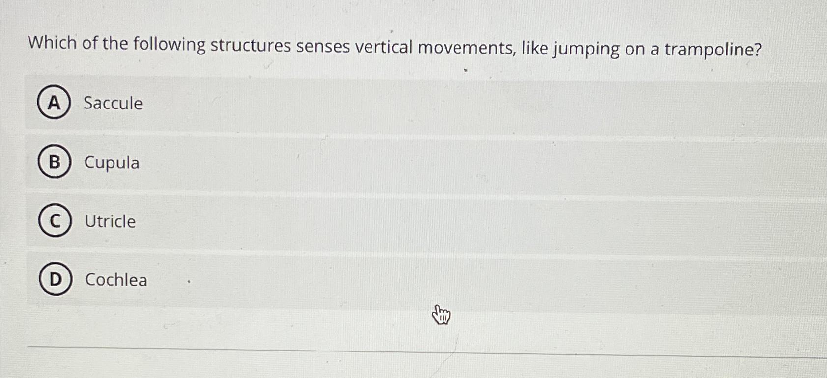 Solved Which of the following structures senses vertical | Chegg.com