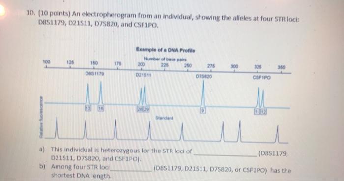 Solved 10. (10 points) An electropherogram from an | Chegg.com