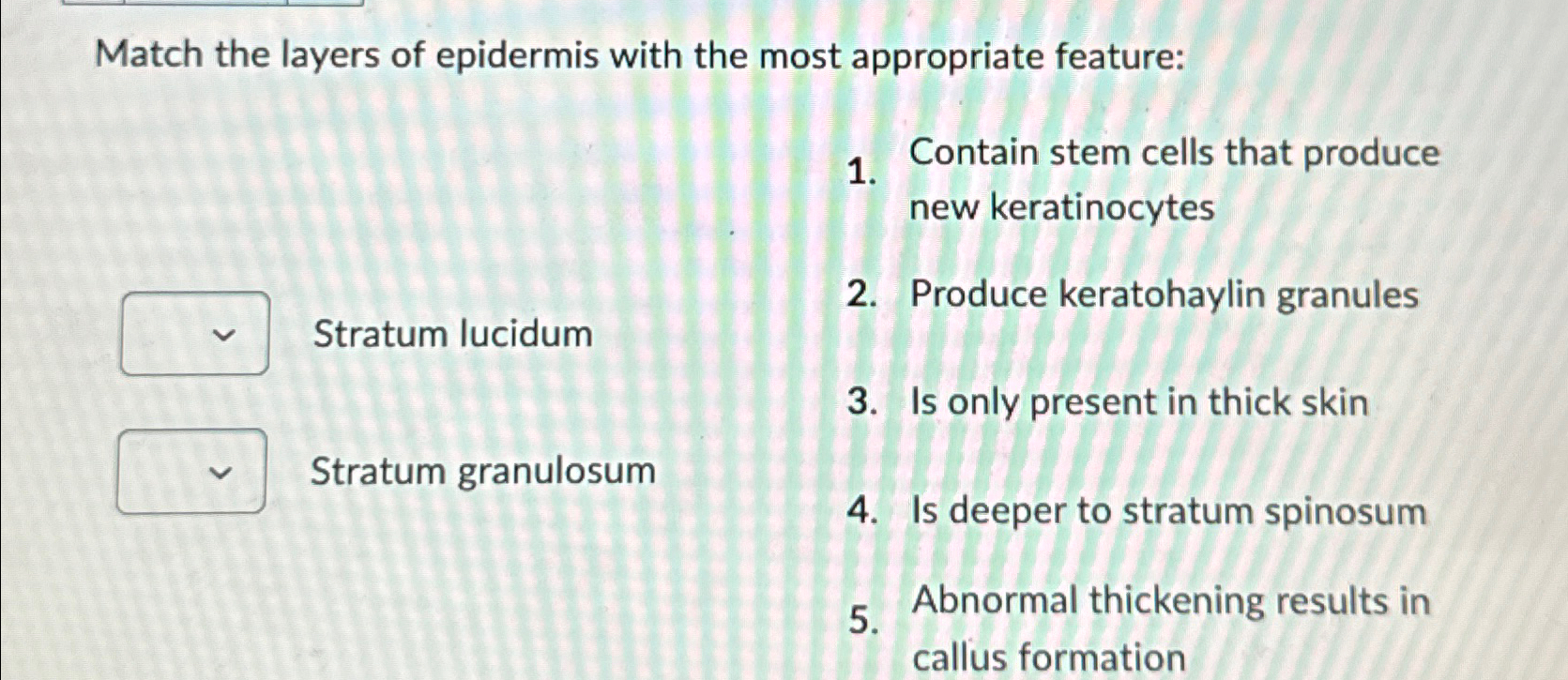 Solved Match the layers of epidermis with the most | Chegg.com