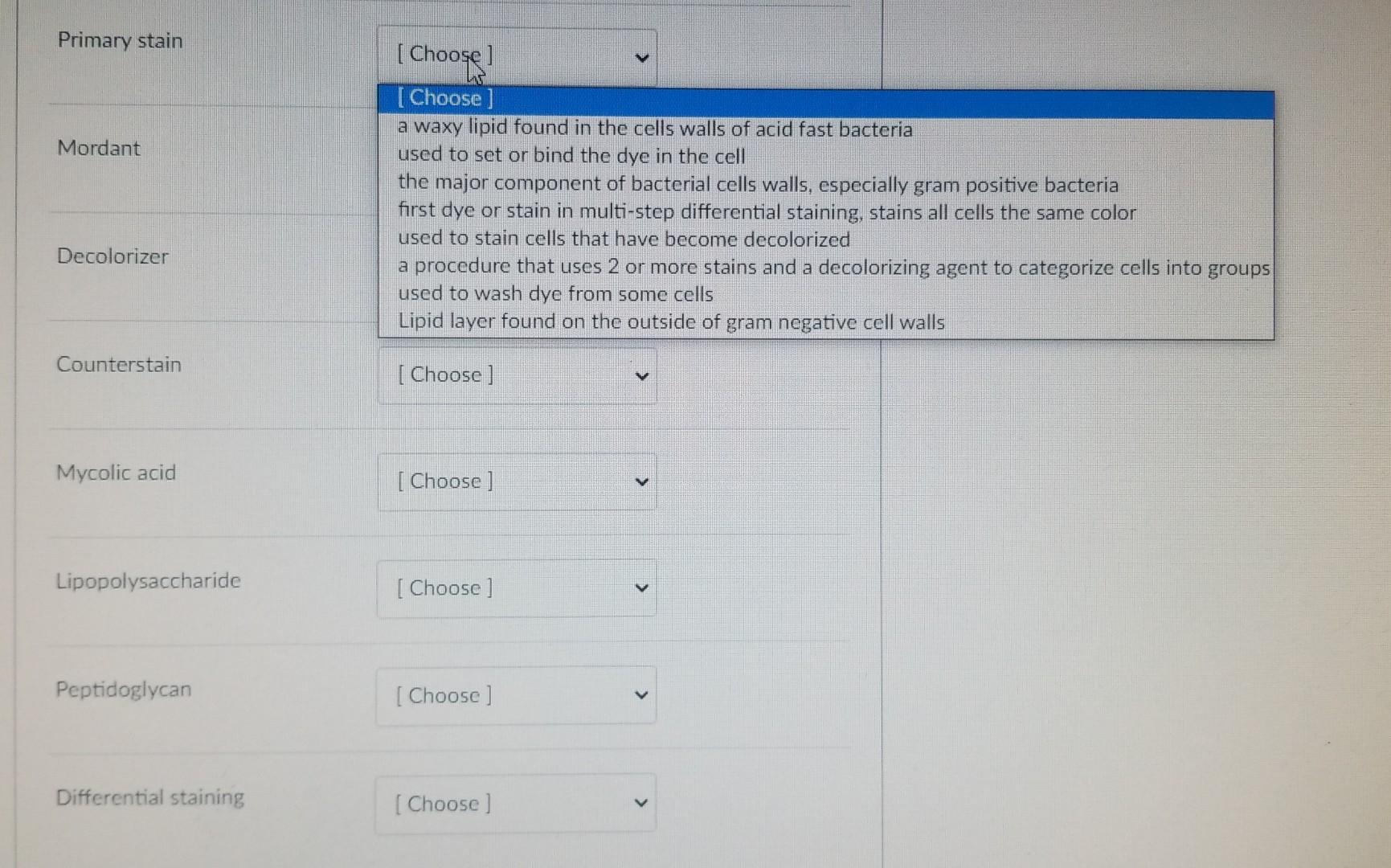 Solved Primary stain Mordant Decolorizer Counterstain | Chegg.com