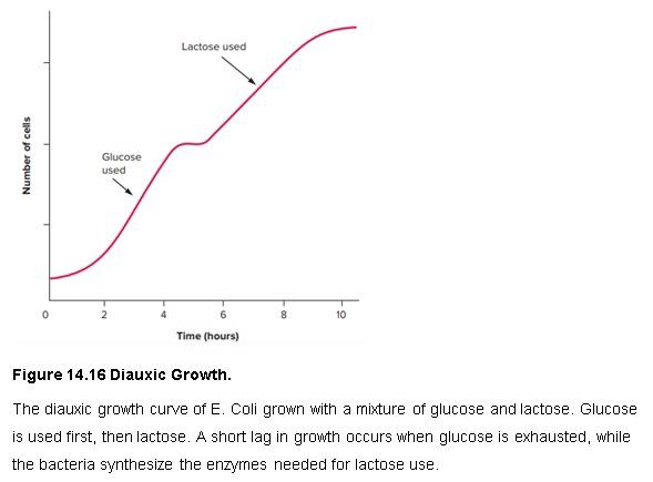 Solved E.coli are cultured in a medium containing both | Chegg.com