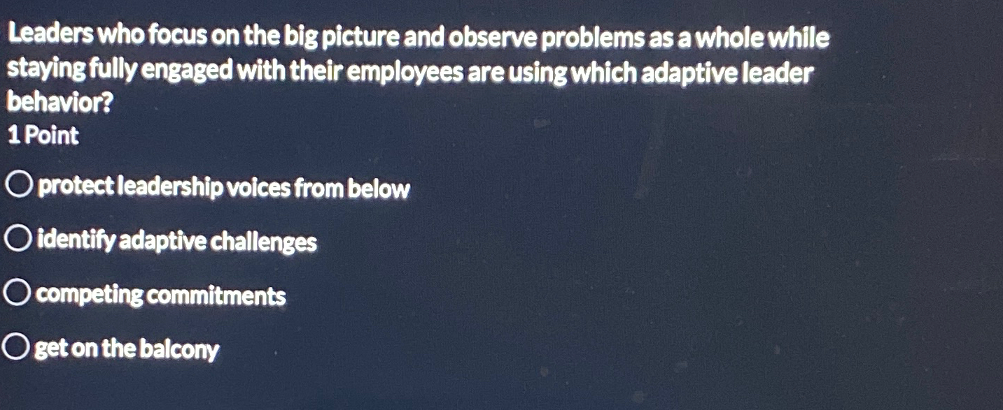 Solved Leaders who focus on the big picture and observe | Chegg.com