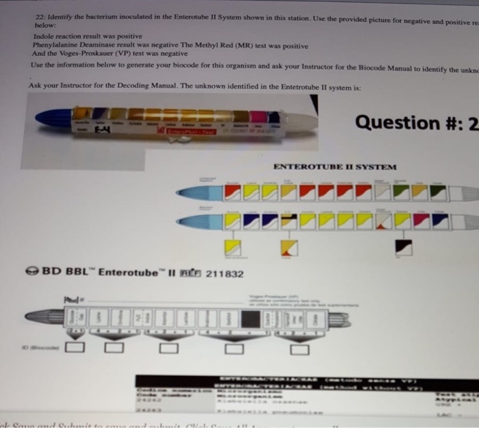 Solved 22: Identify the bacterium inoculated in the | Chegg.com