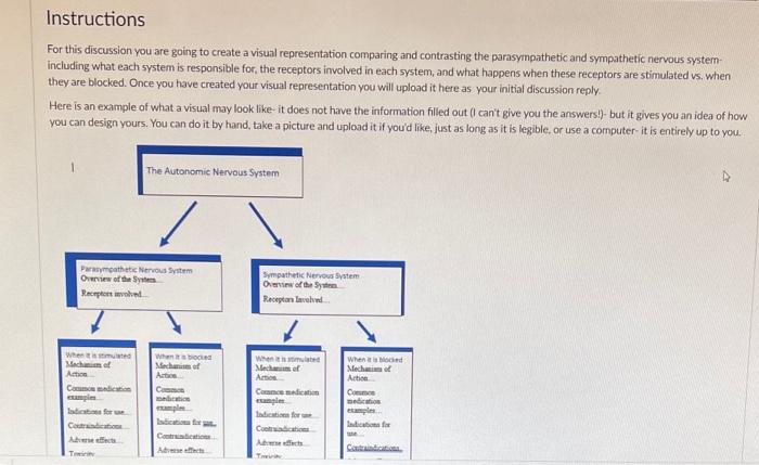 Solved Instructions For this discussion you are going to | Chegg.com