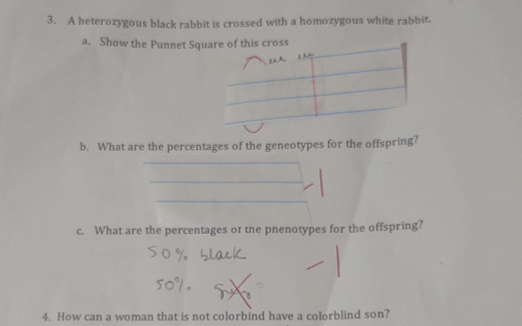 Solved 3. A heterozygous black rabbit is crossed with a | Chegg.com