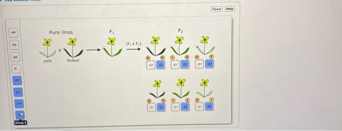 Solved You contra os ponetic analytus by criting the formed | Chegg.com