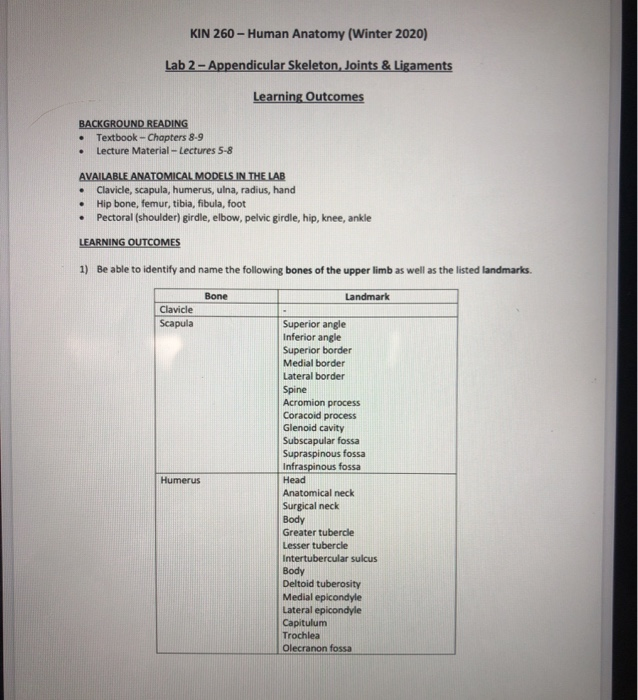 Solved KIN 260 - Human Anatomy (Winter 2020) Lab 2 - | Chegg.com