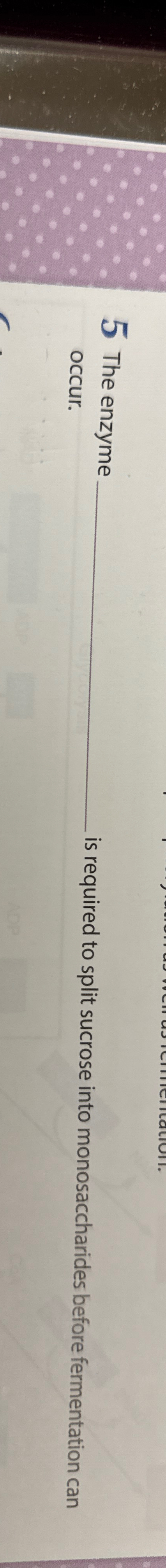 Solved 5 ﻿The enzymeoccur.is required to split sucrose into | Chegg.com