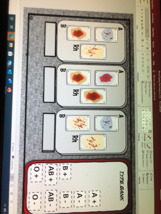 Solved Transition Animations Slide Show Review View Help out | Chegg.com