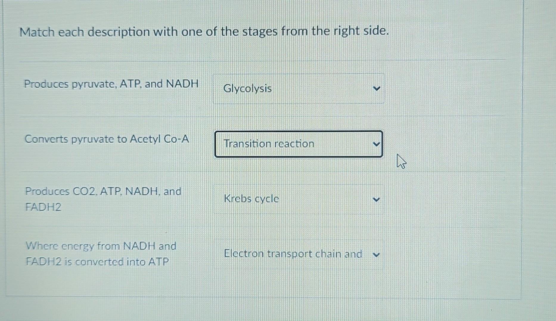 Solved Match each description with one of the stages from | Chegg.com