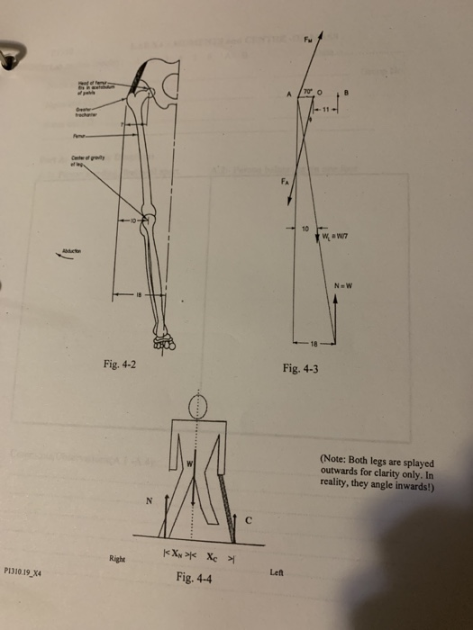 Solved Part D: Use of a cane 1.1. Pelvis-femur force, | Chegg.com