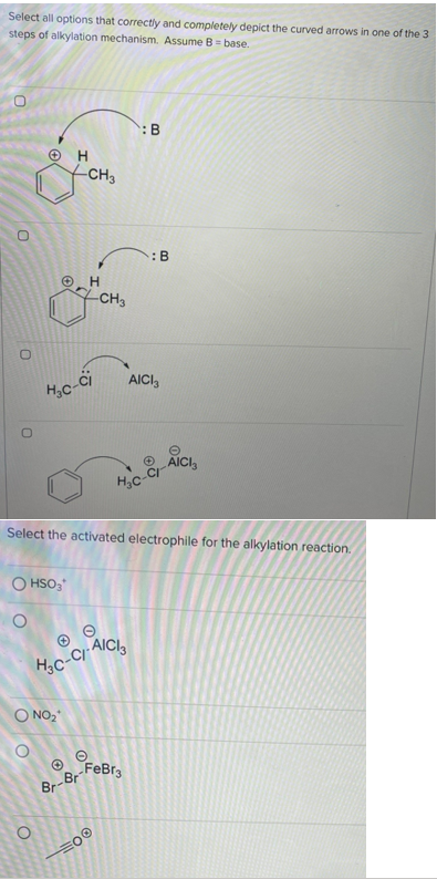 Solved Select the activated electrophile for the alkylation | Chegg.com