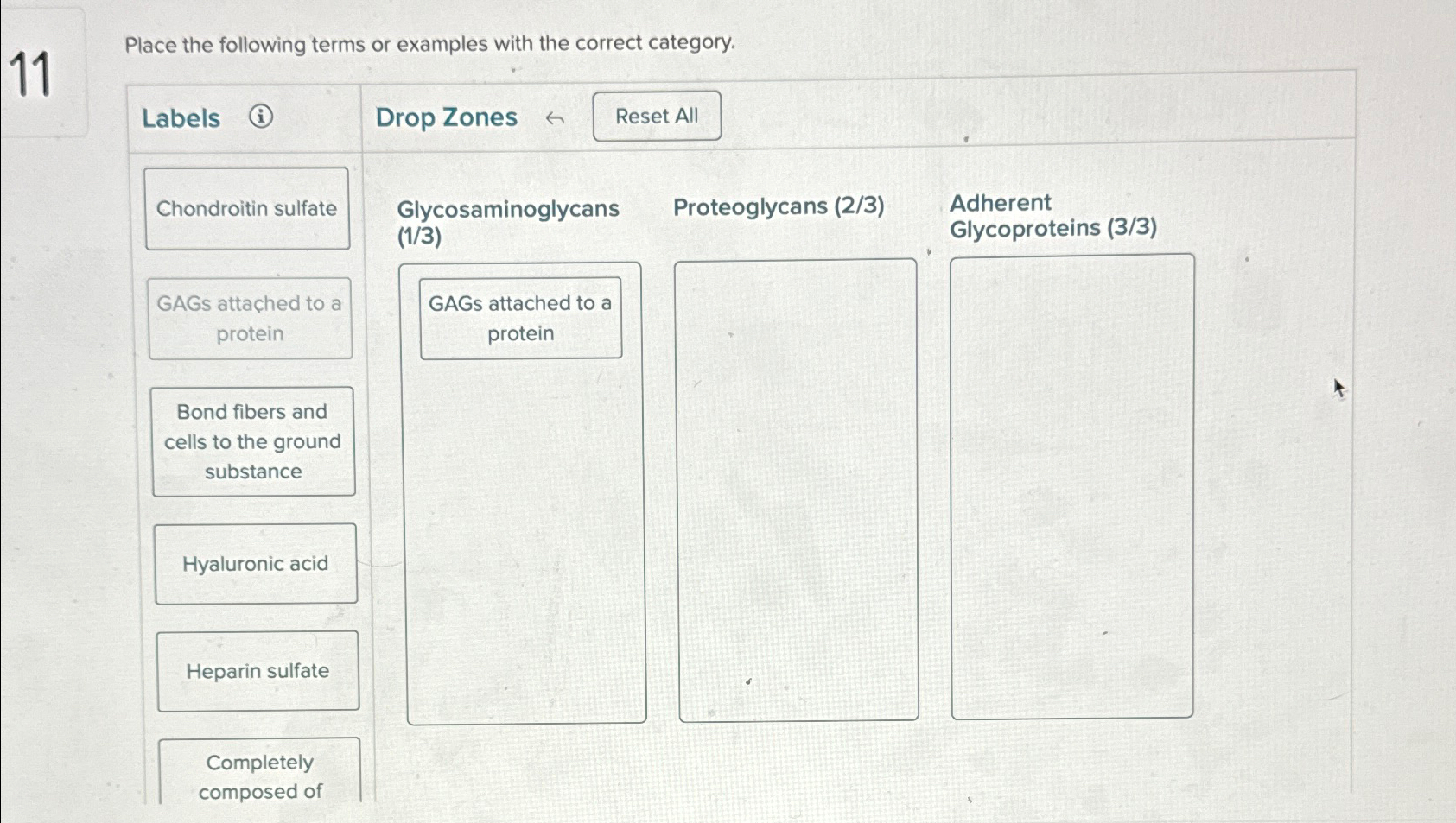 Solved 11Place the following terms or examples with the | Chegg.com