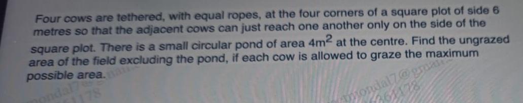 Solved Four cows are tethered, with equal ropes, at the four | Chegg.com