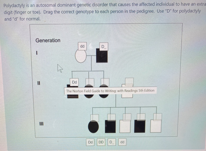 Solved Polydactyly is an autosomal dominant genetic disorder | Chegg.com
