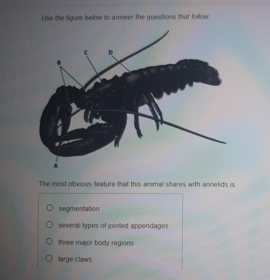 Solved Use the figure below to answer the questions that | Chegg.com