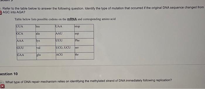 Solved Chemical mutagens, such as Base Analogs, replace | Chegg.com
