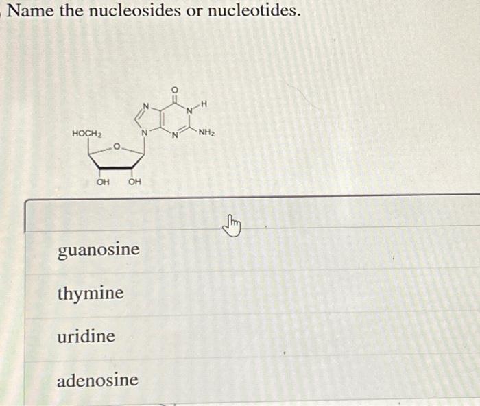 Solved Name the nucleosides or nucleotides. | Chegg.com