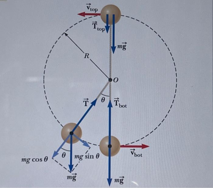 Solved A small sphere of mass m is attached to the end of a | Chegg.com
