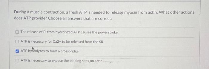 Solved During a muscle contraction, a fresh ATP is needed to | Chegg.com