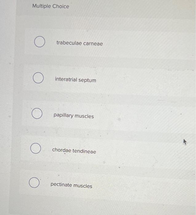 Solved Which structure is highlighted? Multiple Choice | Chegg.com