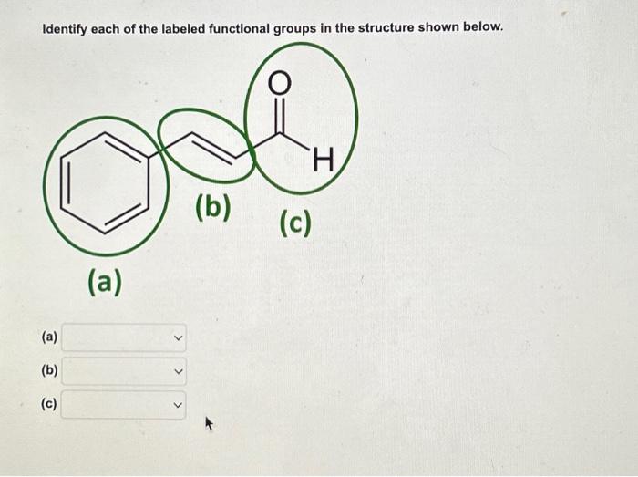 Solved Identify each of the labeled functional groups in the | Chegg.com