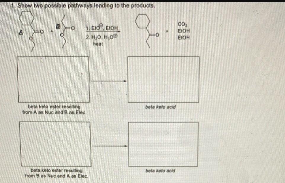 Solved 1. Show two possible pathways leading to the | Chegg.com