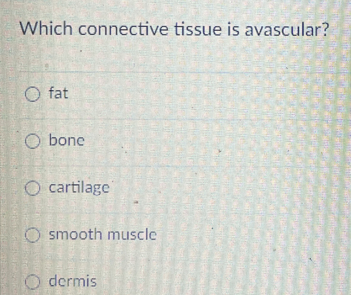 Solved Which connective tissue is | Chegg.com