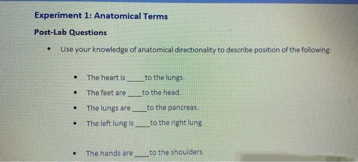 Solved Experiment 1: Anatomical Terms Post-Lab Questions Use | Chegg.com
