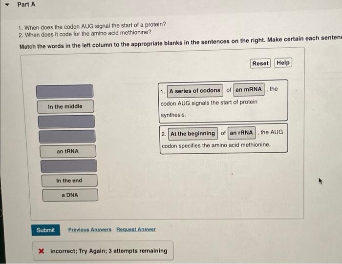 Solved Complete the sentences to define the genetic code. | Chegg.com