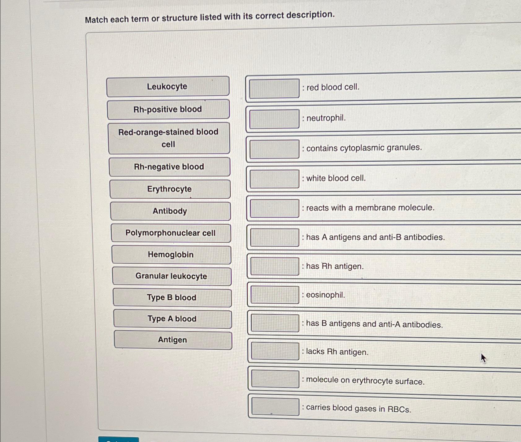 Solved Match each term or structure listed with its correct | Chegg.com
