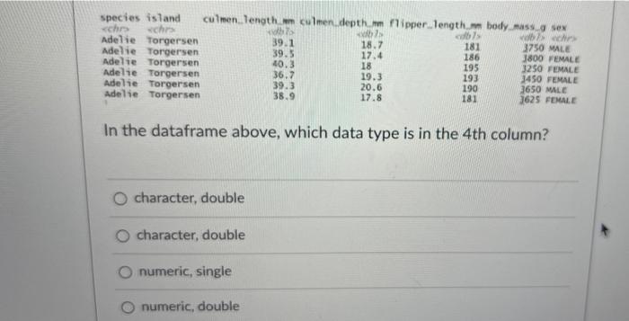 Solved In the dataframe above, which data type is in the 4 | Chegg.com