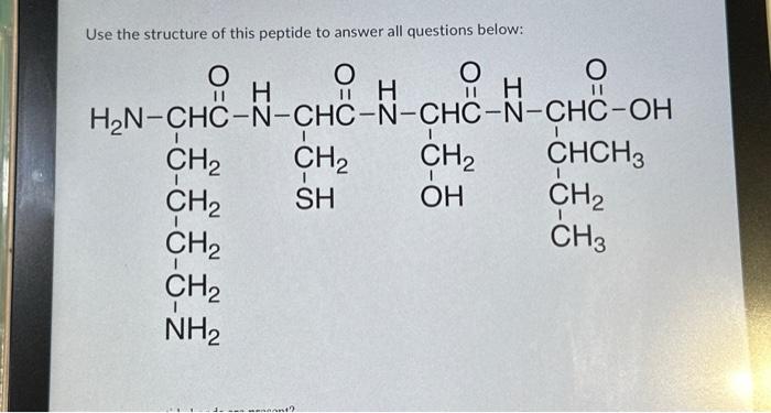 Use the structure of this peptide to answer all | Chegg.com