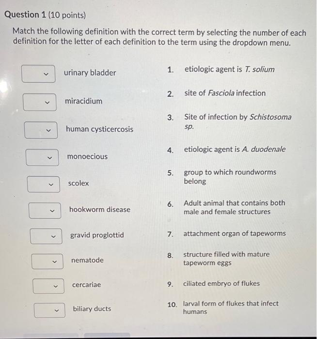 Solved Question 1 (10 points) Match the following definition | Chegg.com