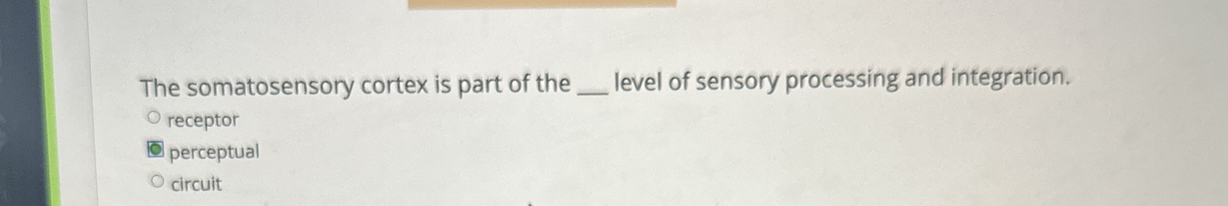 High Quality SOLUTION The somatosensory cortex is part of the q, ﻿level of | Chegg.com