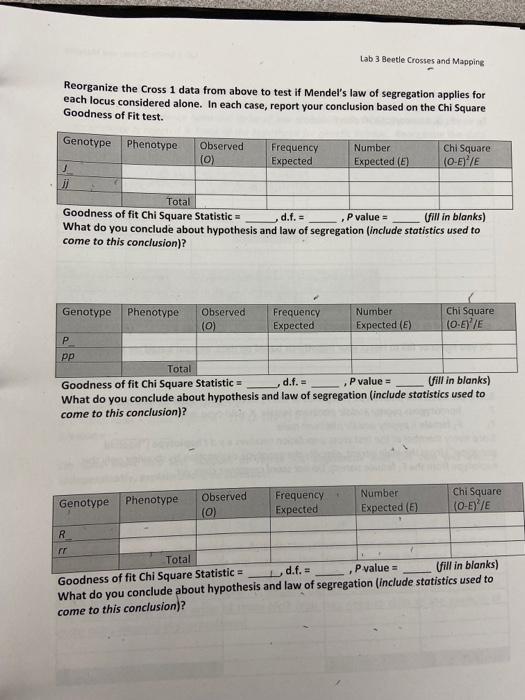 Reorganize the Cross 1 data from above to test if | Chegg.com