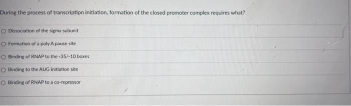 Solved During the process of transcription initiation, | Chegg.com