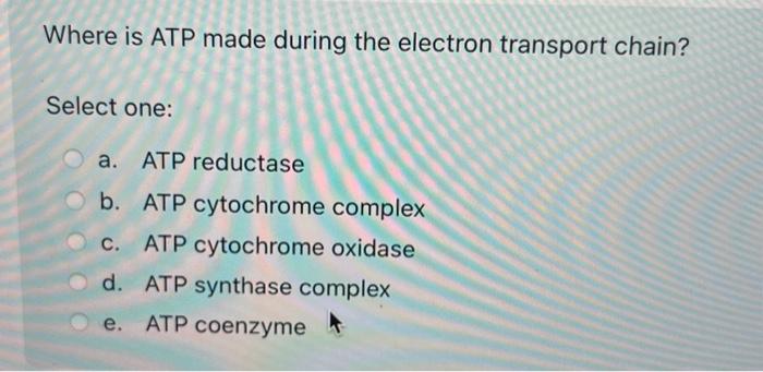 Solved Where is ATP made during the electron transport | Chegg.com